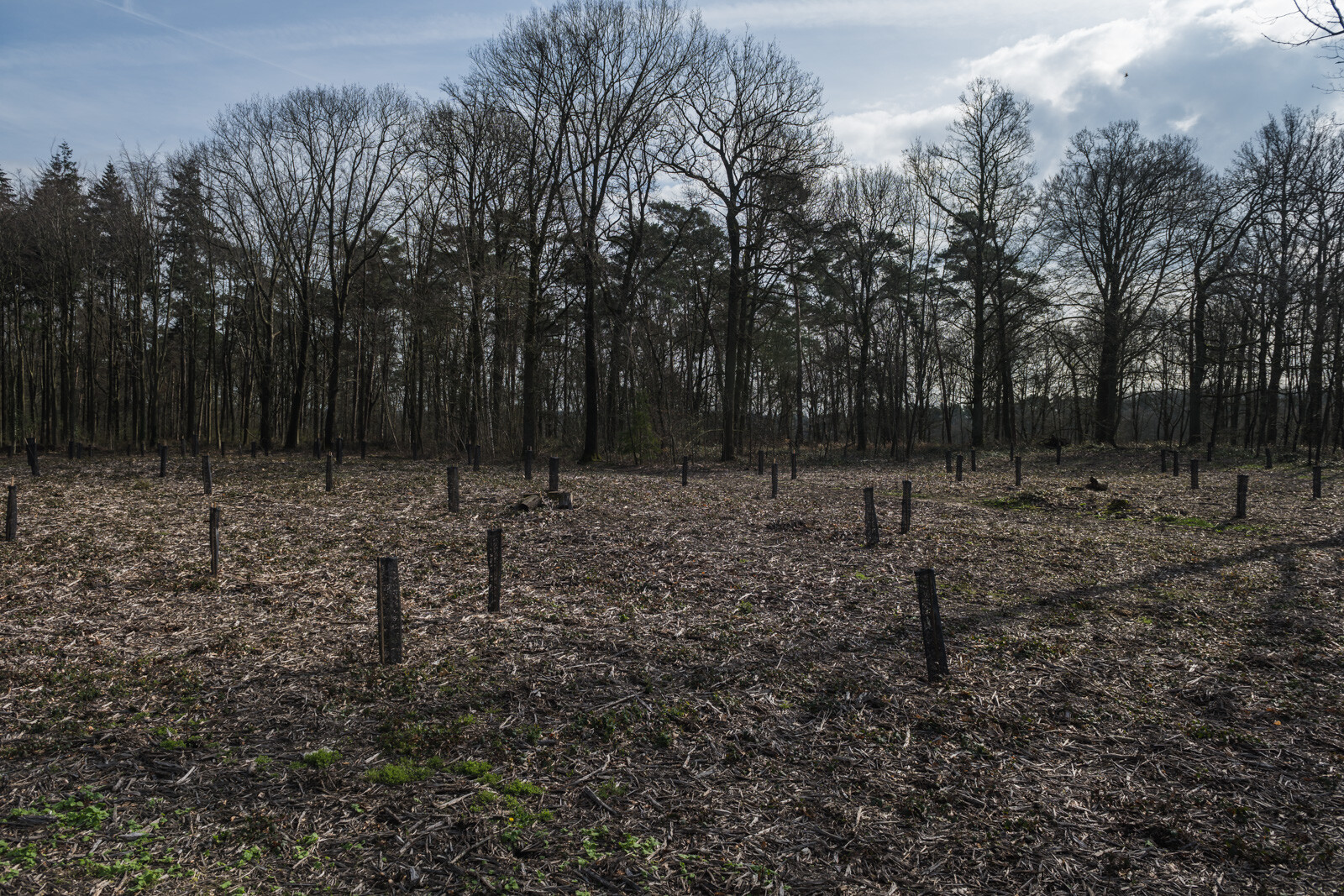 How Circet makes a positive impact in the Benelux